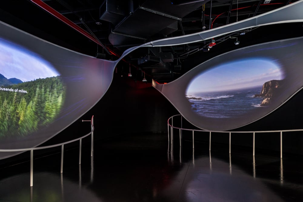 Winding 250 Foot Ribbon Prepares Visitors for 'Invisible Worlds ...